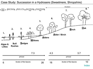 Ecosystems - Succession and Key Terms | PPT