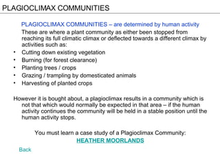 Ecosystems - Succession and Key Terms | PPT
