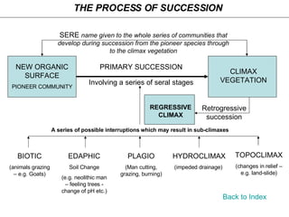 Ecosystems - Succession and Key Terms | PPT