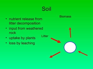 Ecosystems - Succession and Key Terms | PPT
