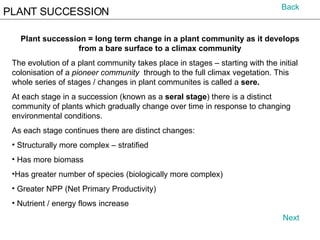 Ecosystems - Succession and Key Terms | PPT