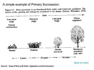 Ecosystems - Succession and Key Terms | PPT
