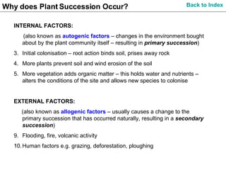 Ecosystems - Succession and Key Terms | PPT