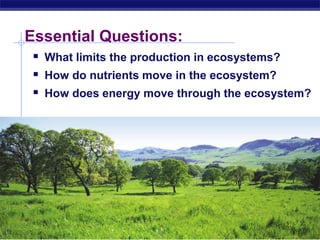 Ecosystems (1).ppt