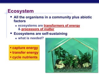 Ecosystems (1).ppt