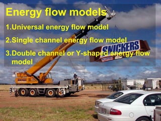 Ecosystems1.ppt to understand the ecosystem | PPT