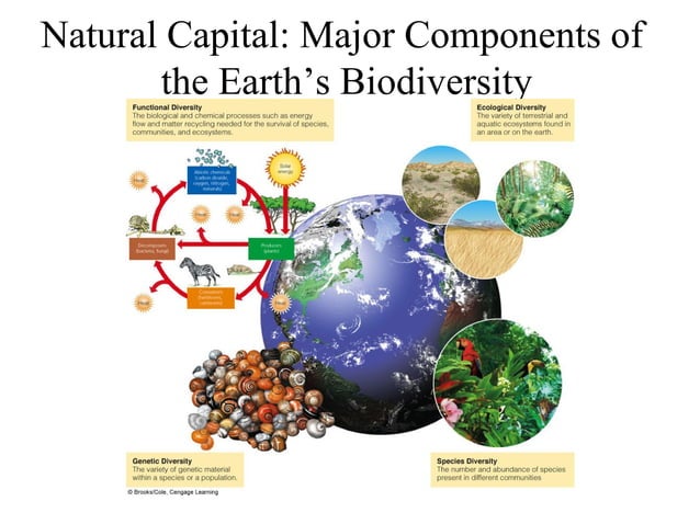 Ecosystems and biodiversity | PPT | Indoor Environmental Quality | Home ...