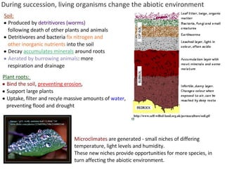 Ecosystems and Biomes | PPT