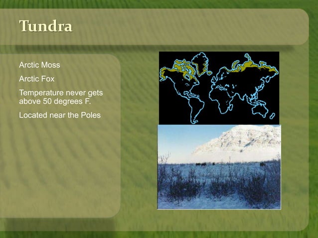 Ecosystems and biomes | PPTX