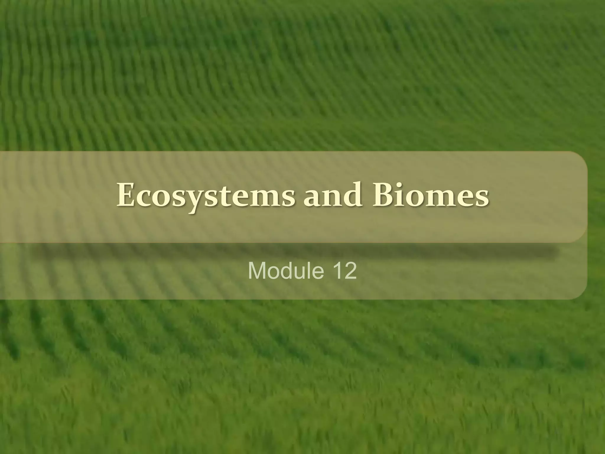 Ecosystems and Biomes | PPTX