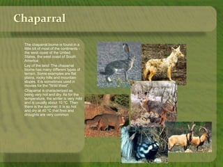 Ecosystems and Biomes | PPTX