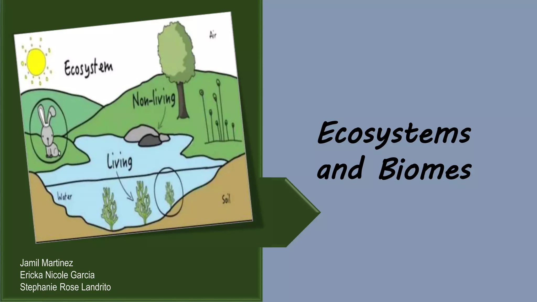 Ecosystems and biomes (ict)(slideshare)2 | PPTX