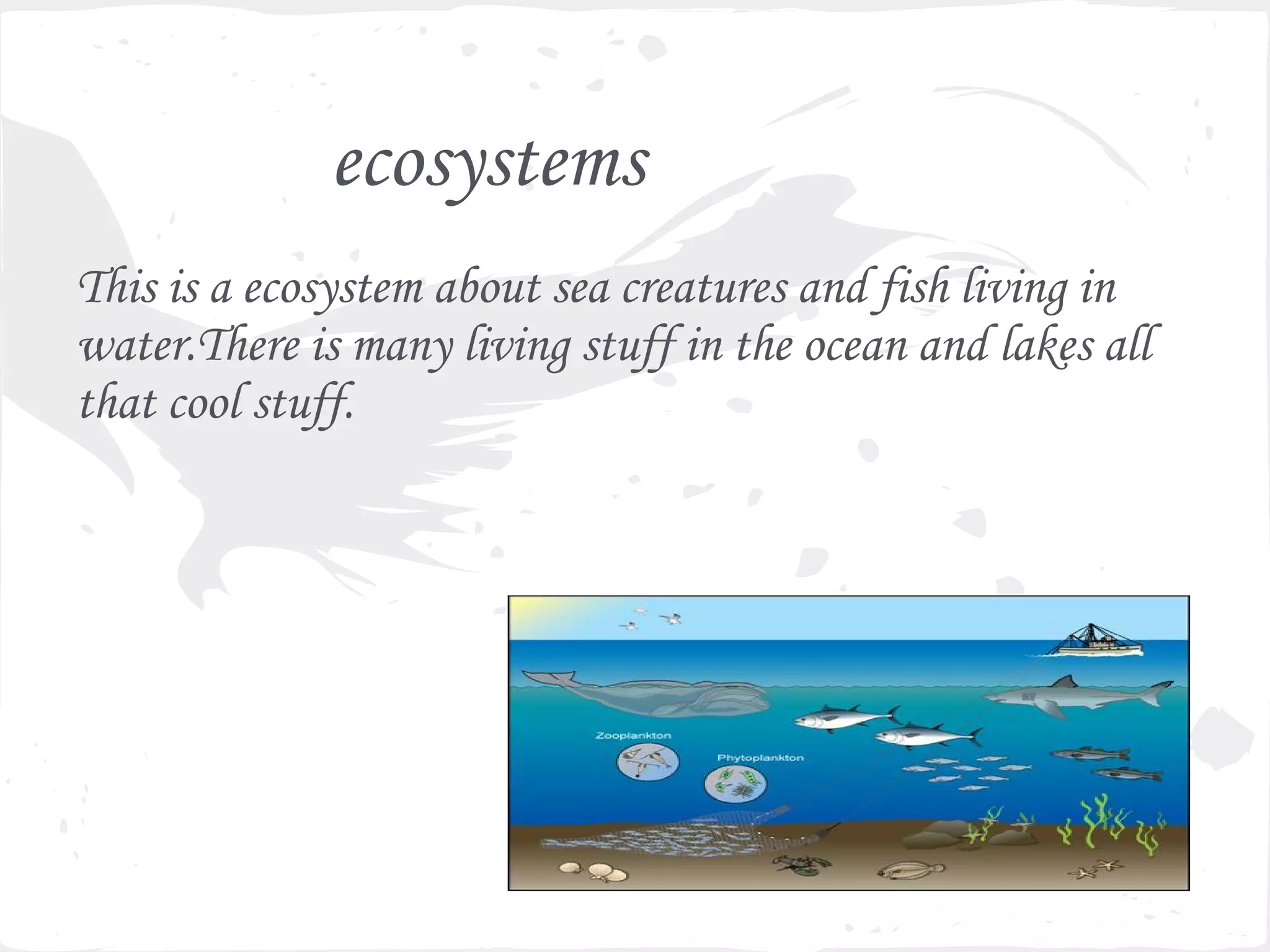 Ecosystems and biomes keaton huffman | PPT