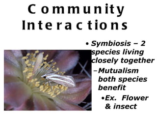 Ecosystems and communities for blog | PPT