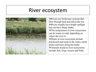 Ecosystems and food webs by mondlane.j | PPT