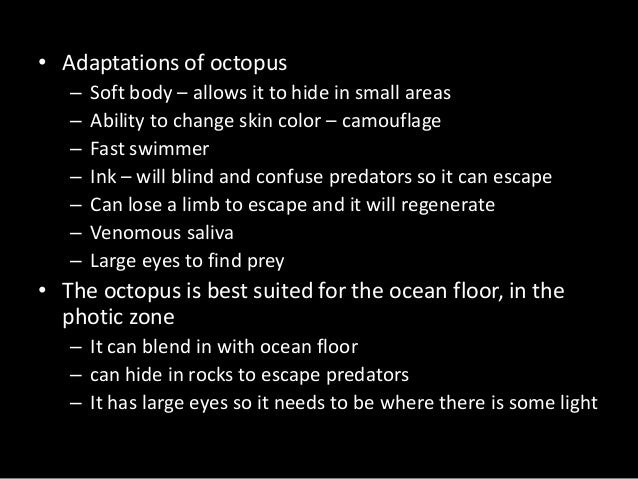 Octopus Adaptations