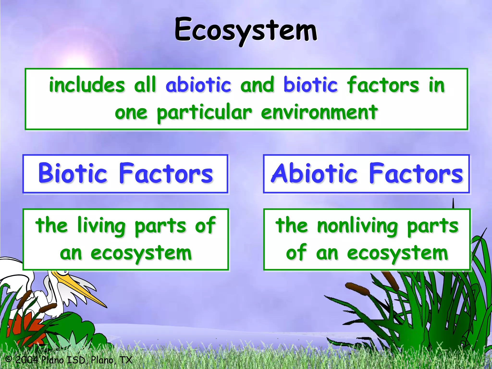 Ecosystems, biotic and abiotic factors | PPT