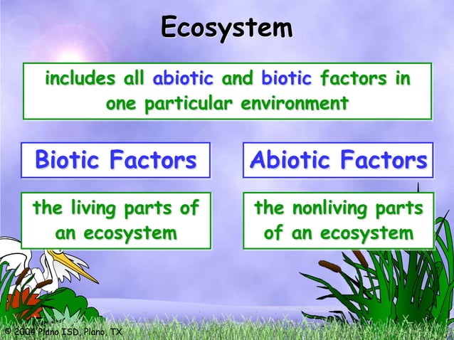 Ecosystems, biotic and abiotic factors | PPTX | Biological Sciences ...