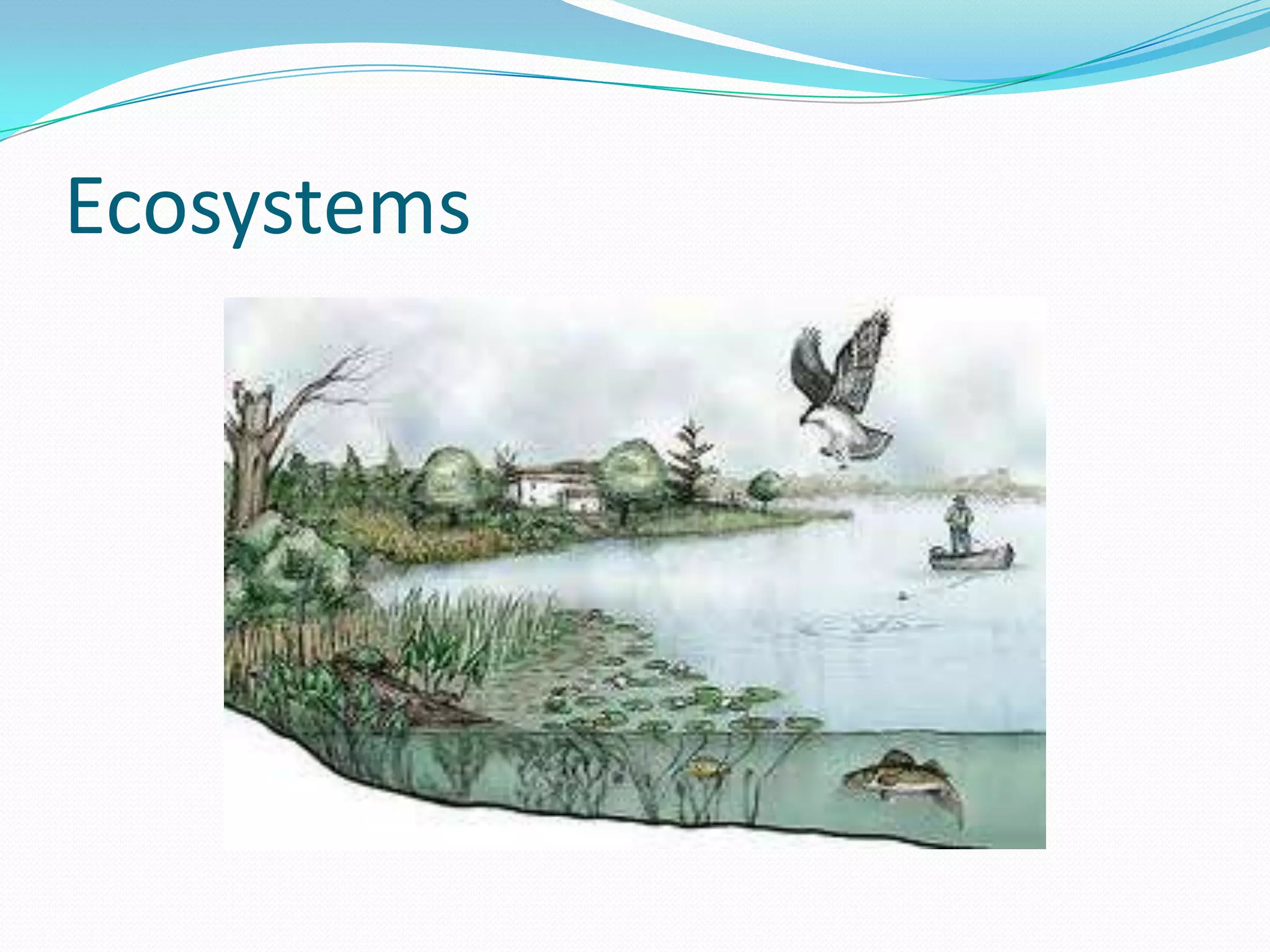 Ecosystems biotic and abiotic factors | PPTX