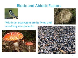 09 bio 02 | PPT