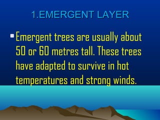 Ecosystems Daniel and Alejandro | PPT