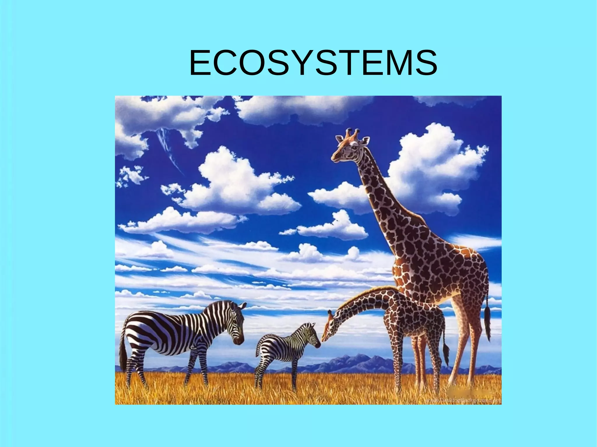Ecosystems: definitions | PDF