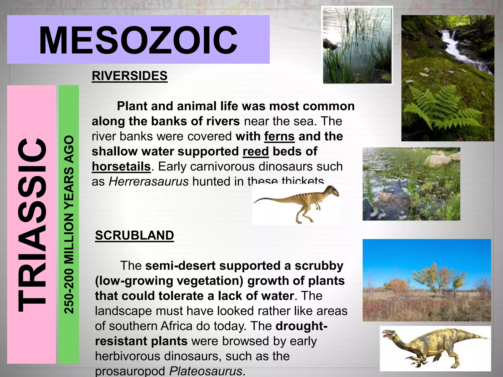 Ecosystems dinosaurs | PPTX