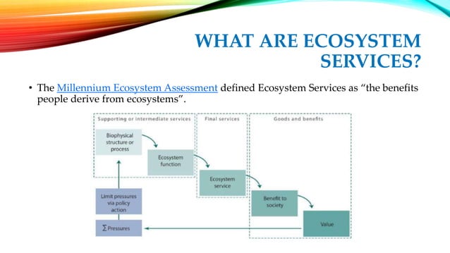 Ecosystem services | PPTX