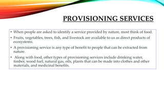 Ecosystem services | PPTX
