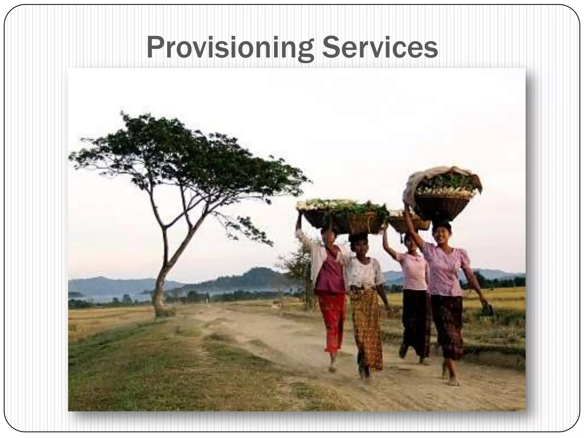 Ecosystem Services | PPTX