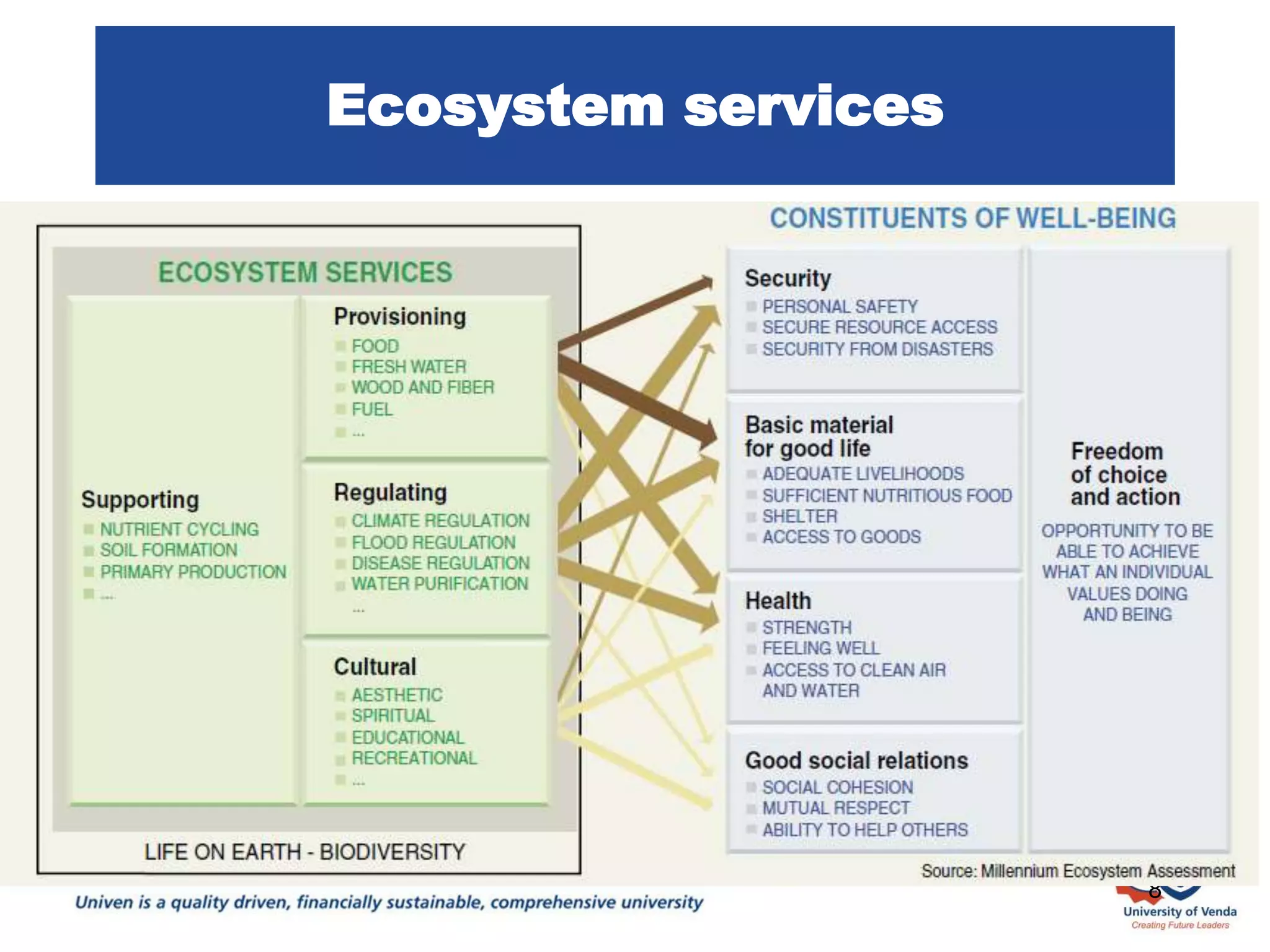 Ecosystem services lecture.pptx