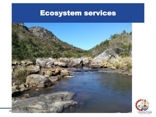 Ecosystem services lecture.pptx
