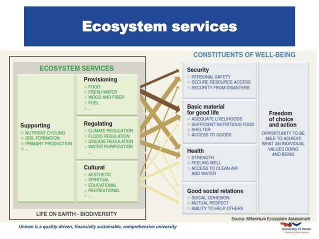 Ecosystem services lecture.pptx