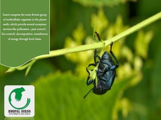 Eco system services of insect | PPTX