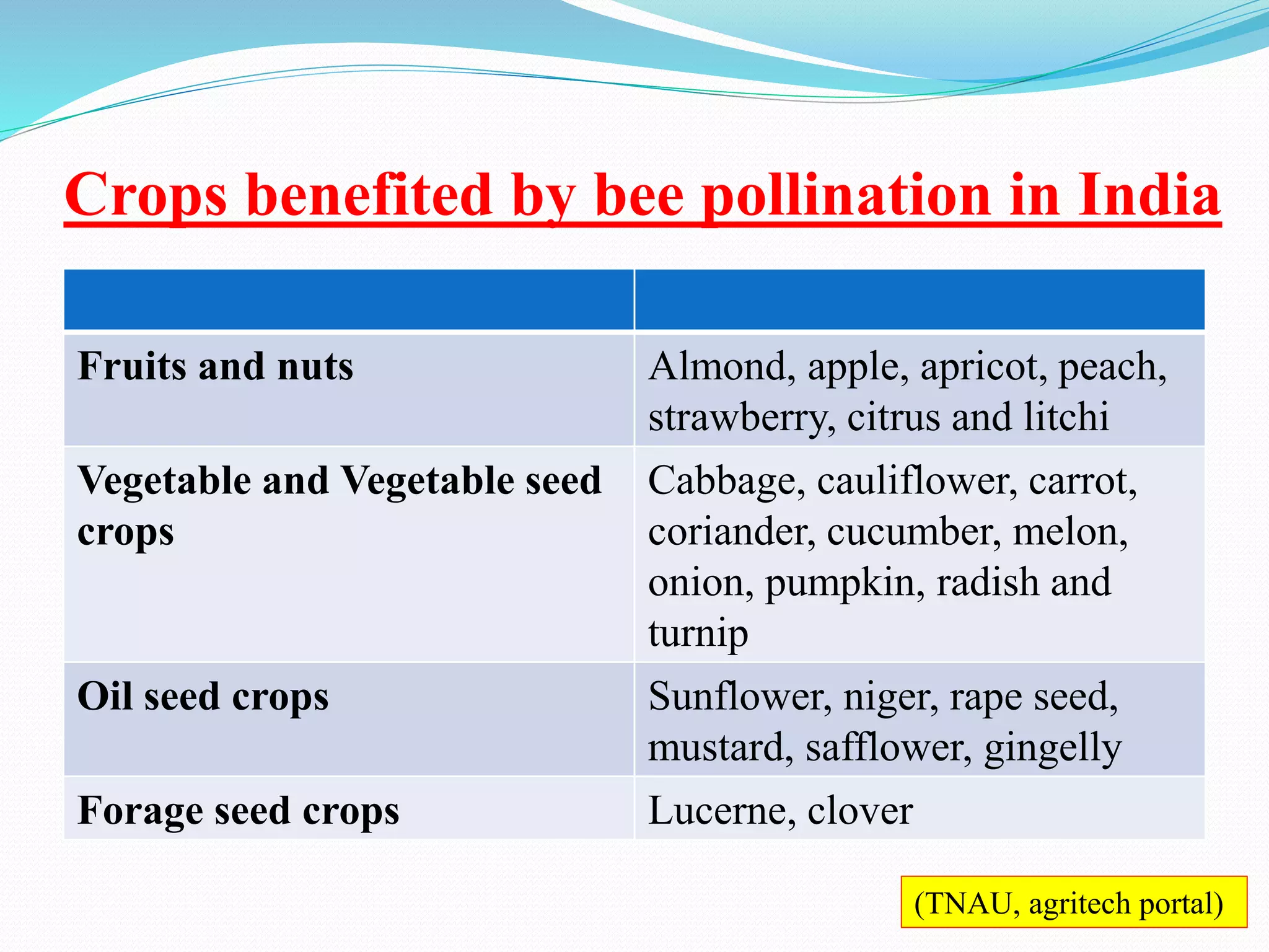 Ecosystem Services Provided By Pollinators And Their Crisis.pptx