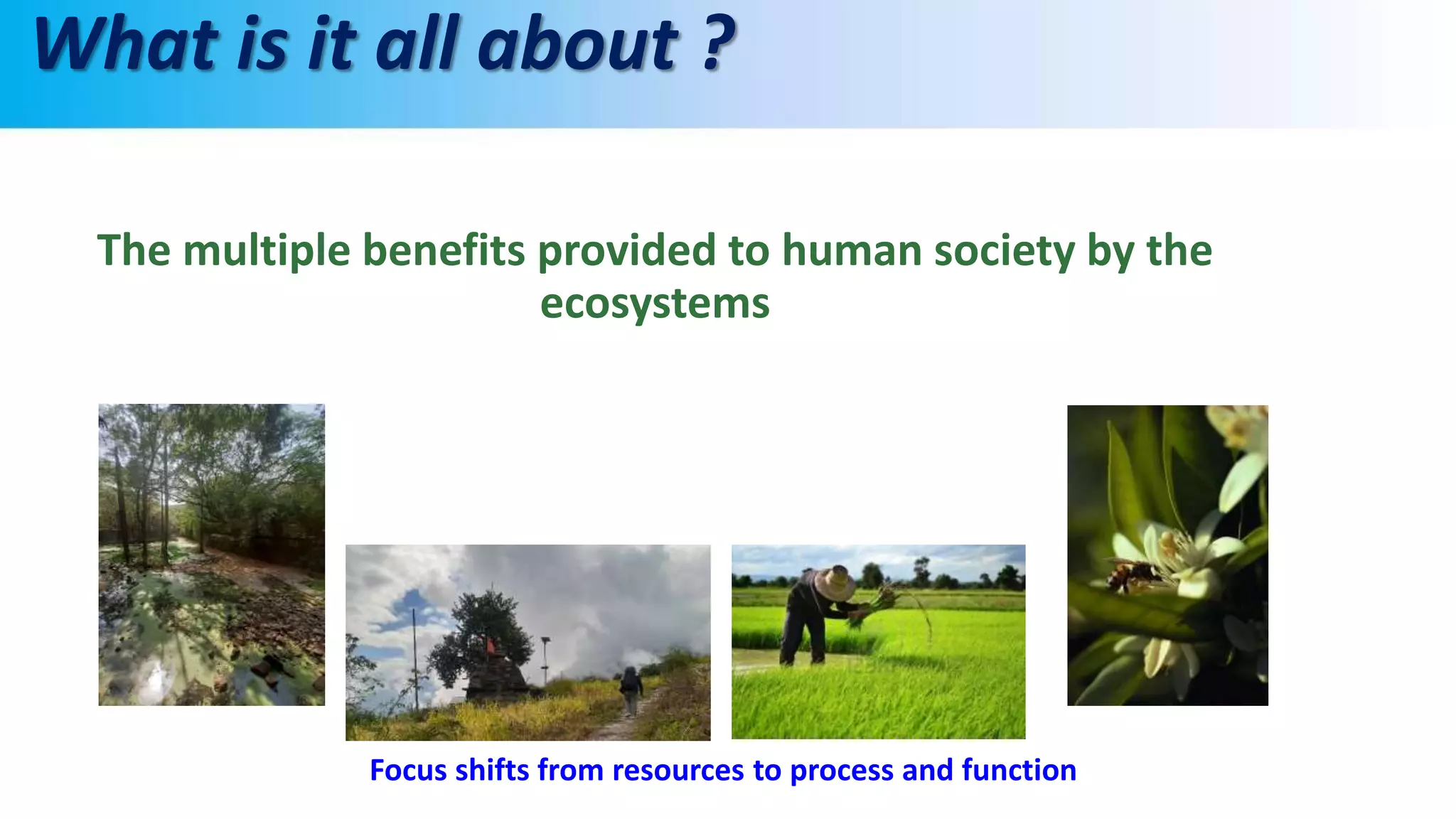 Ecosystem services | PPTX