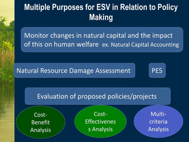 Ecosystem Service Valuation winslow | PPT