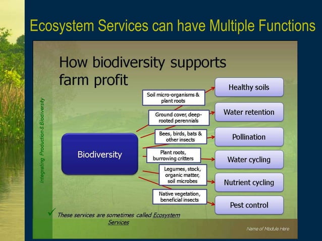 Ecosystem Service Valuation winslow | PPT