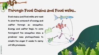ECOSYSTEMS_ FLOW OF ENERGY | PDF | Biological Sciences | Science