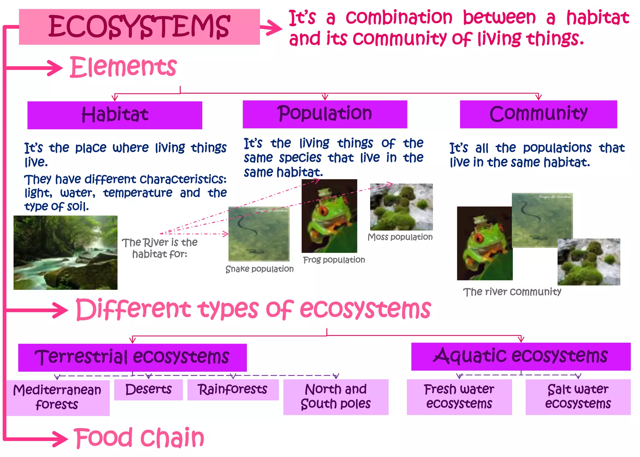 Ecosystems, 4th year of Primary education | PPTX | Zoos & Aquariums ...