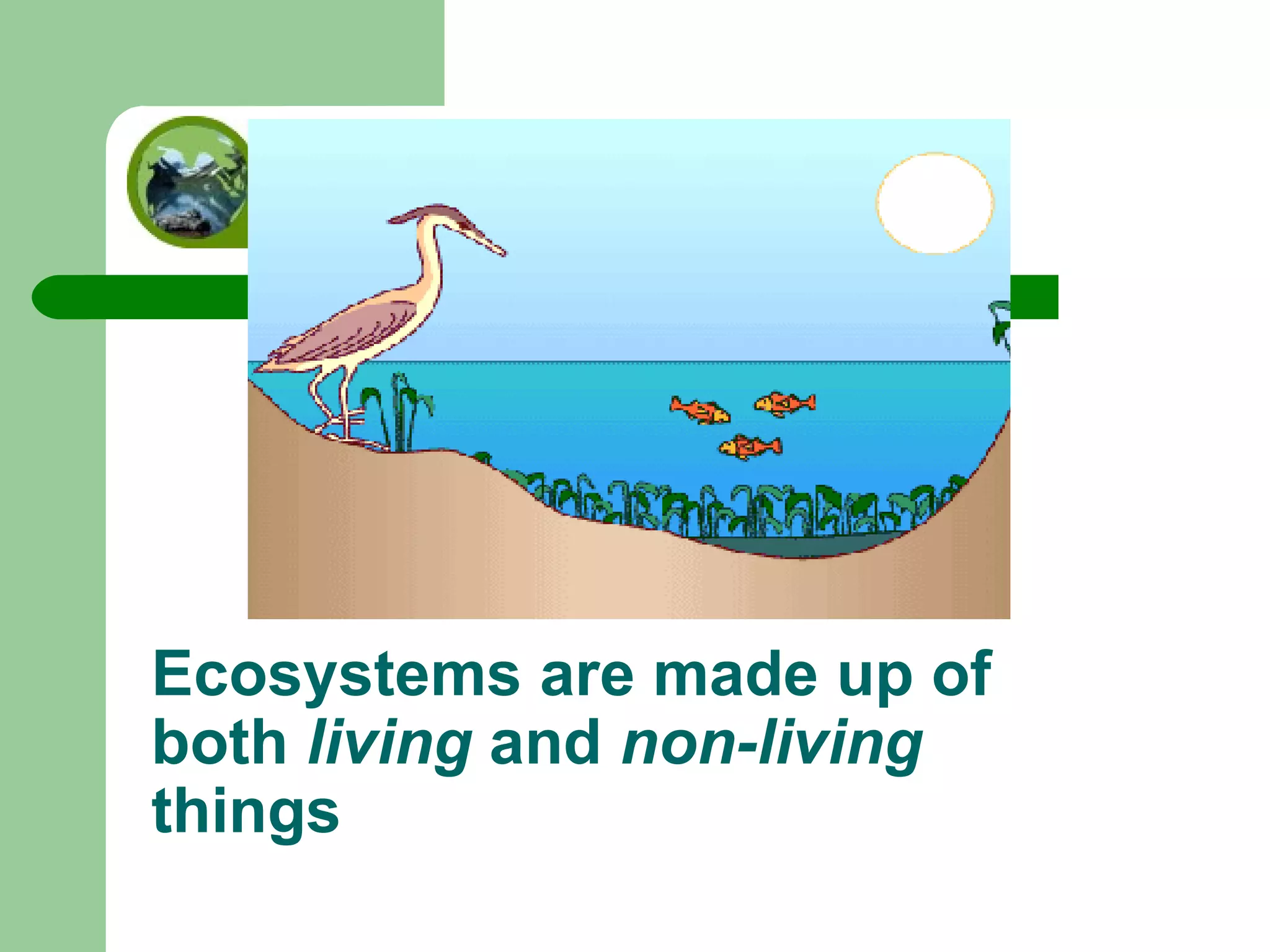 Ecosystems, Lesson 1 | PPT