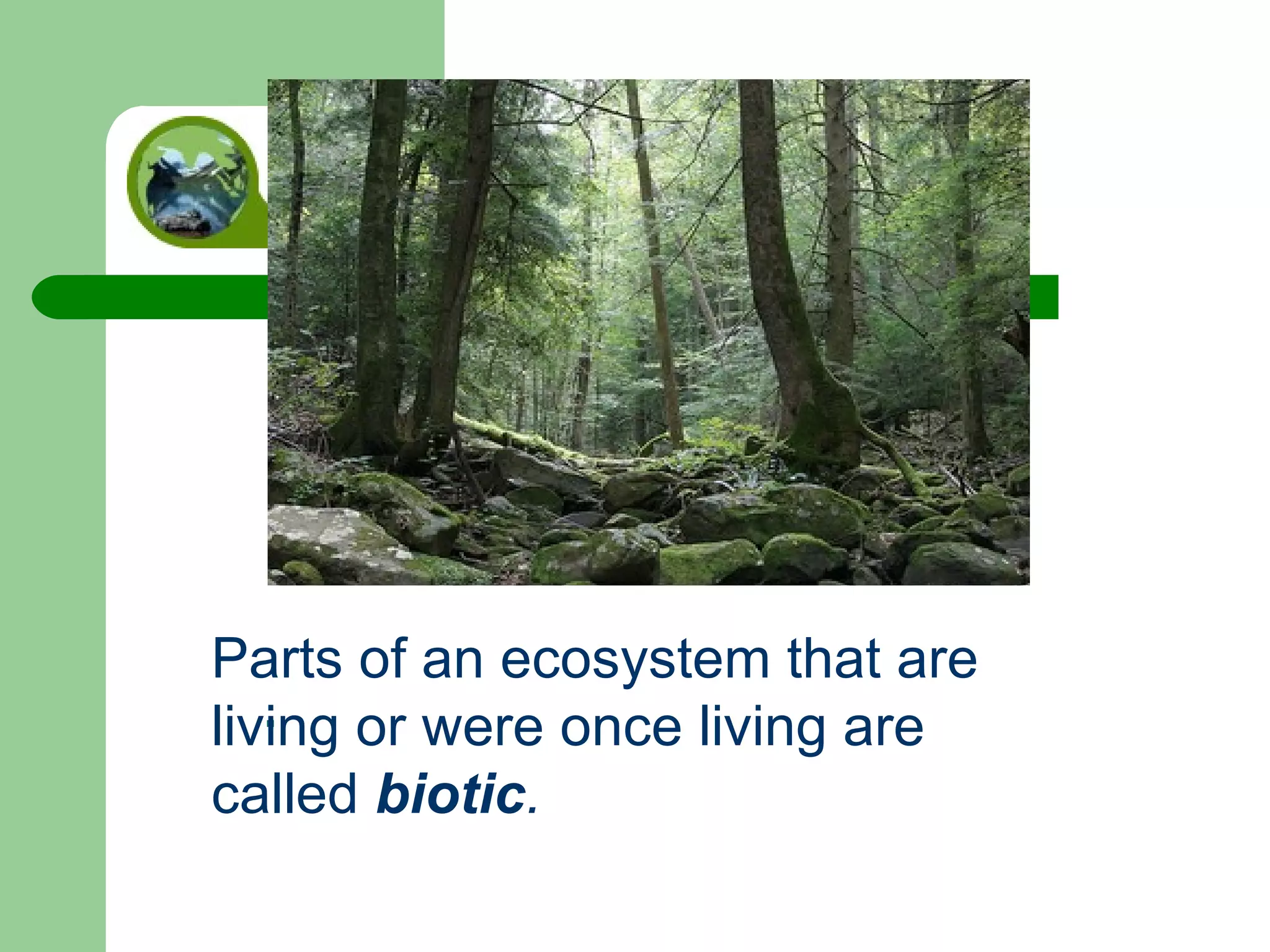 Ecosystems, Lesson 1 | PPT