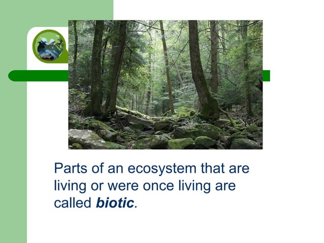 Ecosystems, Lesson 1 | PPT