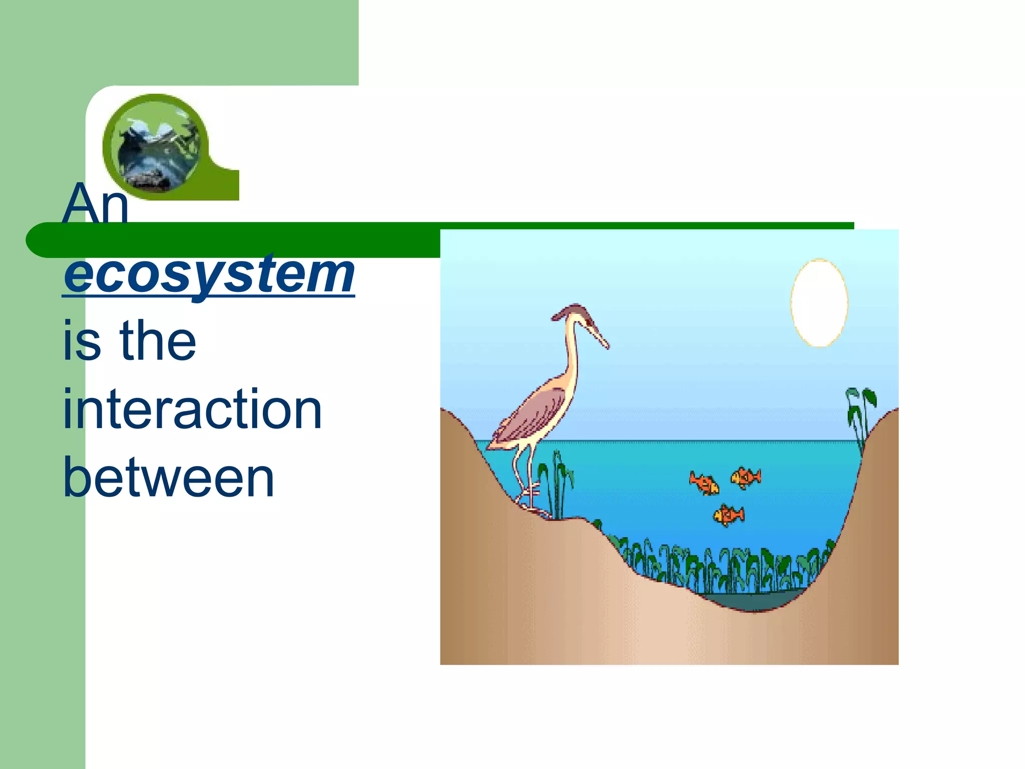 Ecosystems, Lesson 2 | PPT | Geography | Science