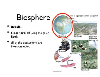 U3.1 Ecosystems | PPT