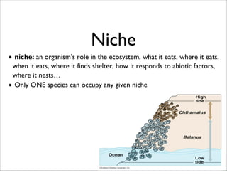 U3.1 Ecosystems | PPT