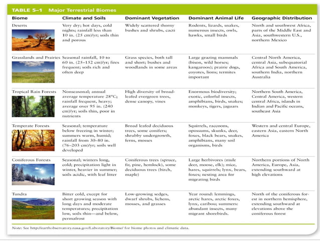 U3.1 Ecosystems | PPT