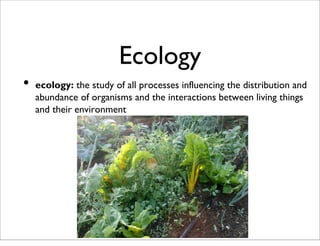 U3.1 Ecosystems | PDF