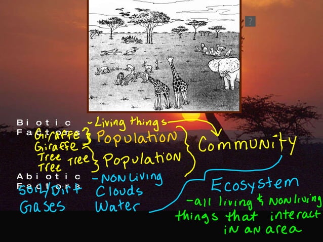 Ecosystems Notes 11 9 Pd6 | PPT