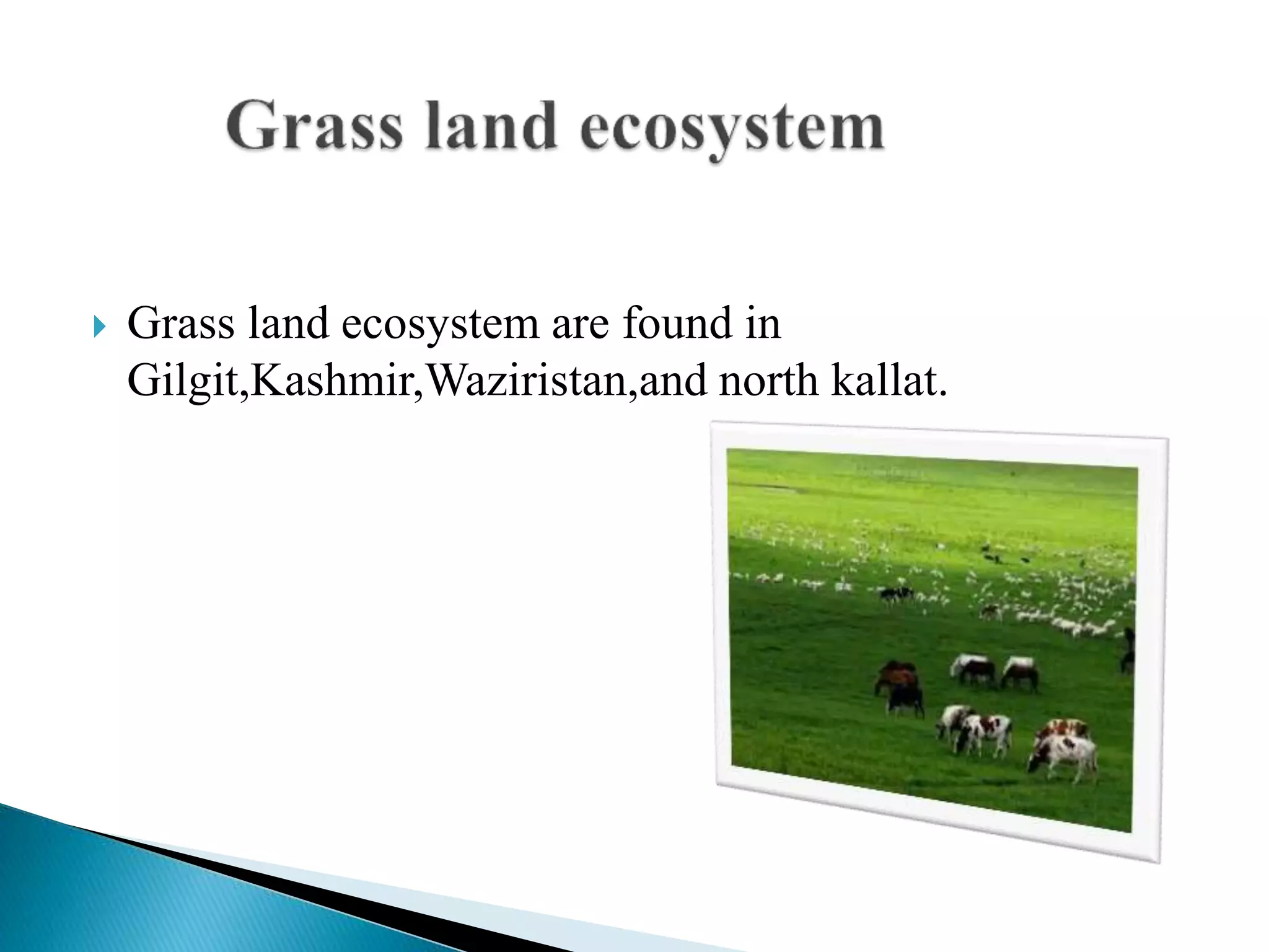 Ecosystems of Pakistan and World | PPTX